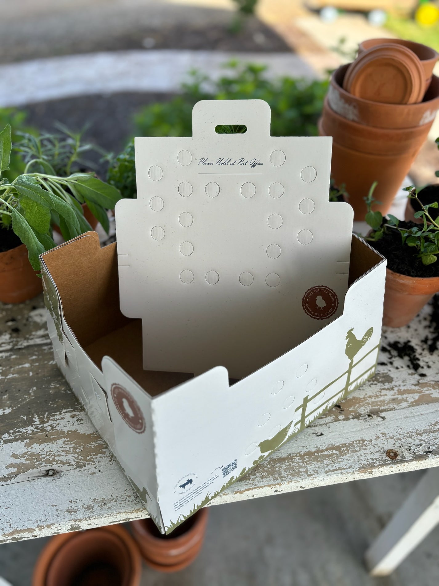Chick Shipping Box Made in USA – The Recreational Homestead